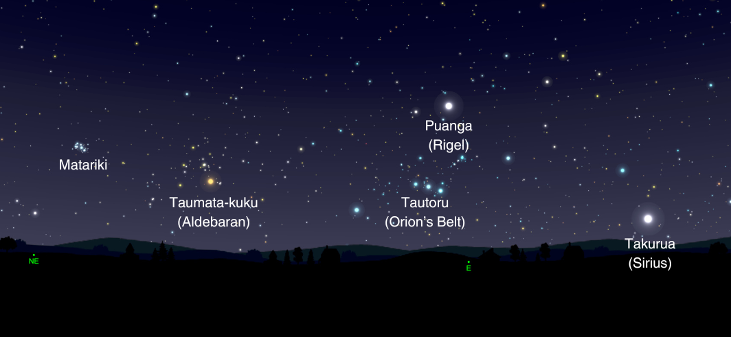 Matariki – Astronz